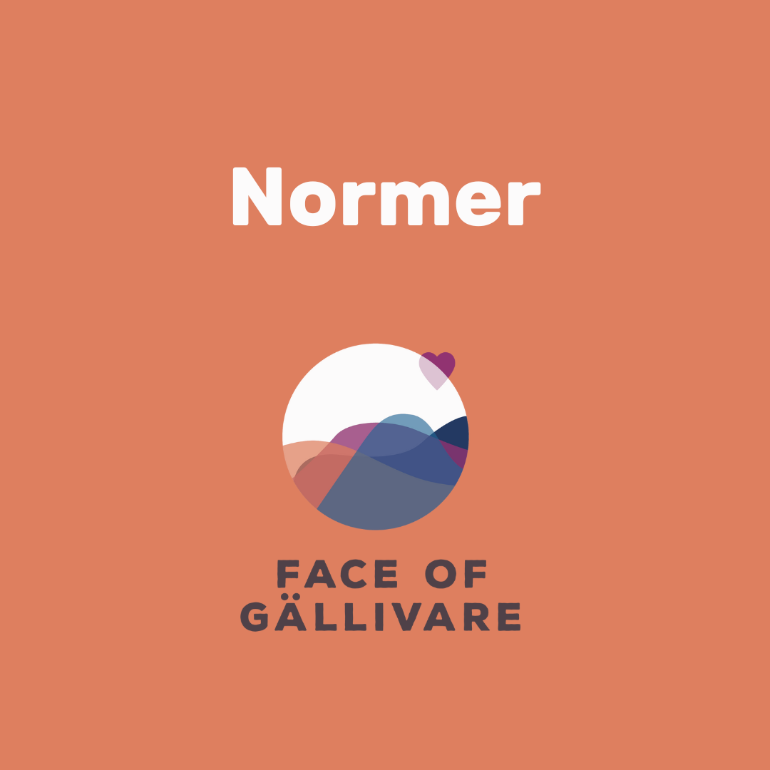 Normer