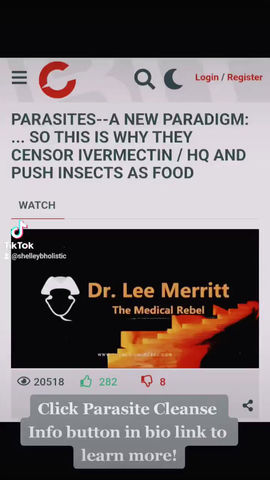 Dr. Lee Merritt on Parasites, Cancer & Autoimmune Disease