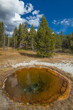 CzechPhotoTravel | Fotoexpedice Yellowstone a Grand Teton