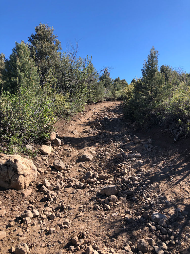 The Barney Riley Trail