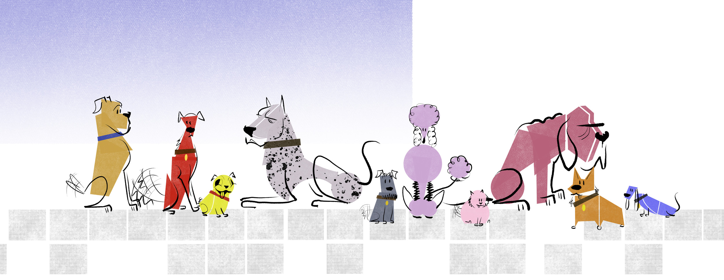 Shilstone Arts | Animator