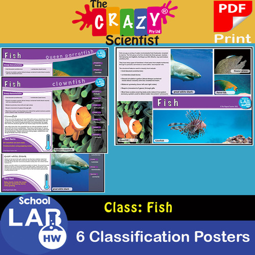 Fish Classification Posters | The Crazy Scientist