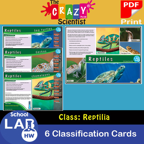 Reptile Classification Posters | The Crazy Scientist
