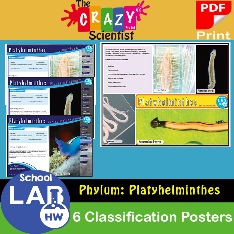 Platyhelminthes Classification Posters | The Crazy Scientist