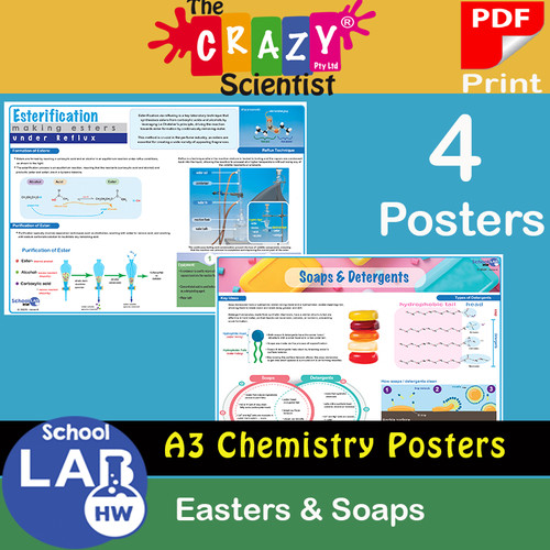 A3 HSC Chemistry M7 - Esterification & Soaps | The Crazy Scientist