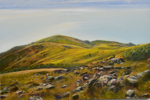 Pepin Island, Nelson New Zealand | Mysite