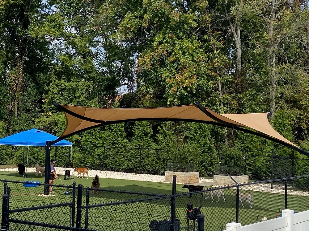 The Importance of Shade for Pets