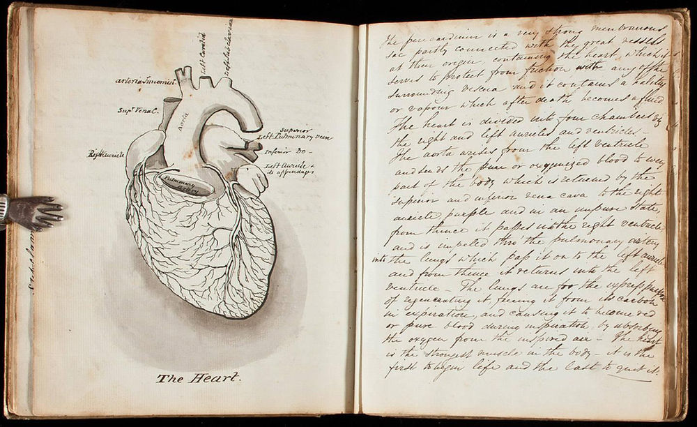 How to write a medical manuscript?