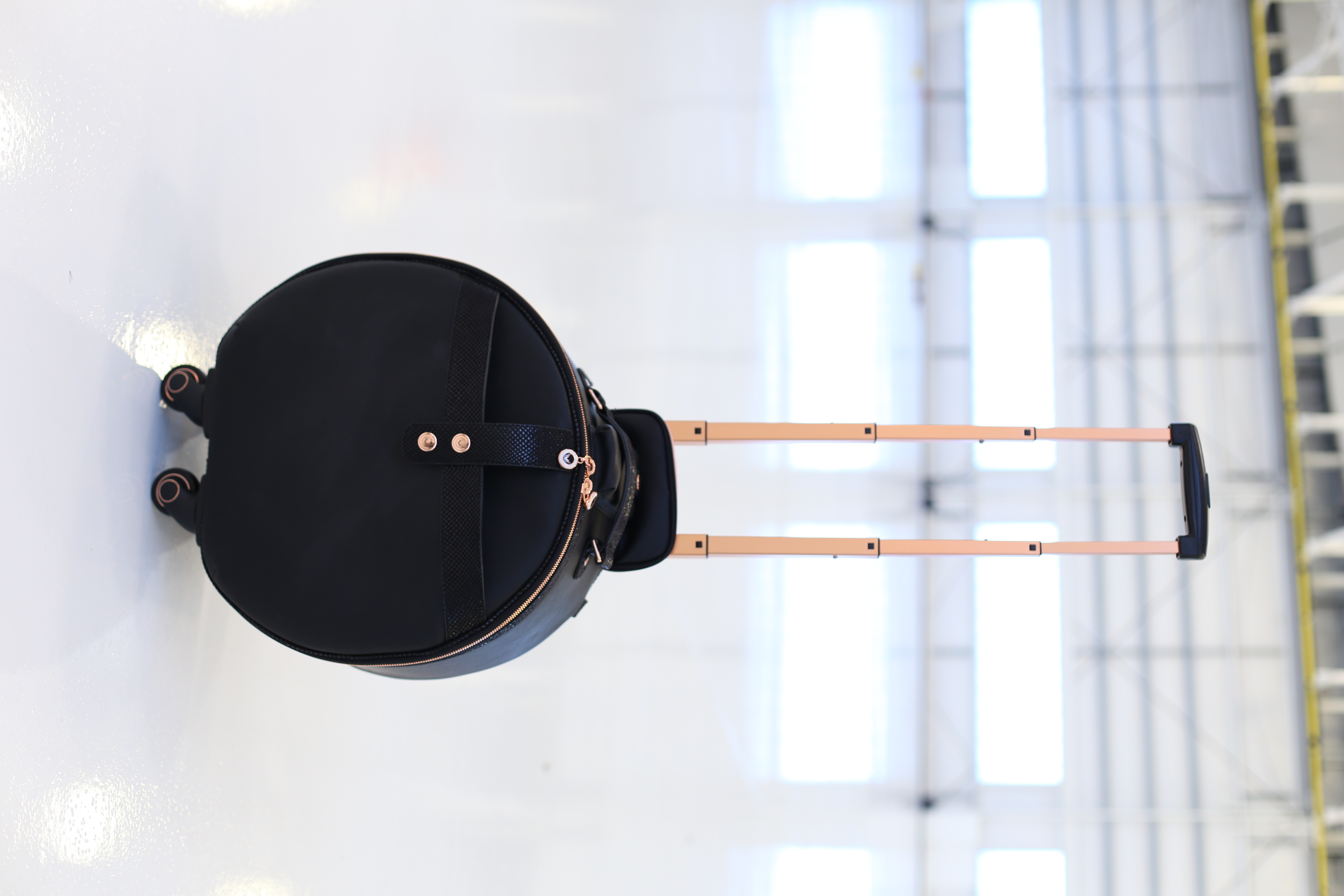 Smart Birdy | A Smarter Way to Travel | Jetsetter Luggage
