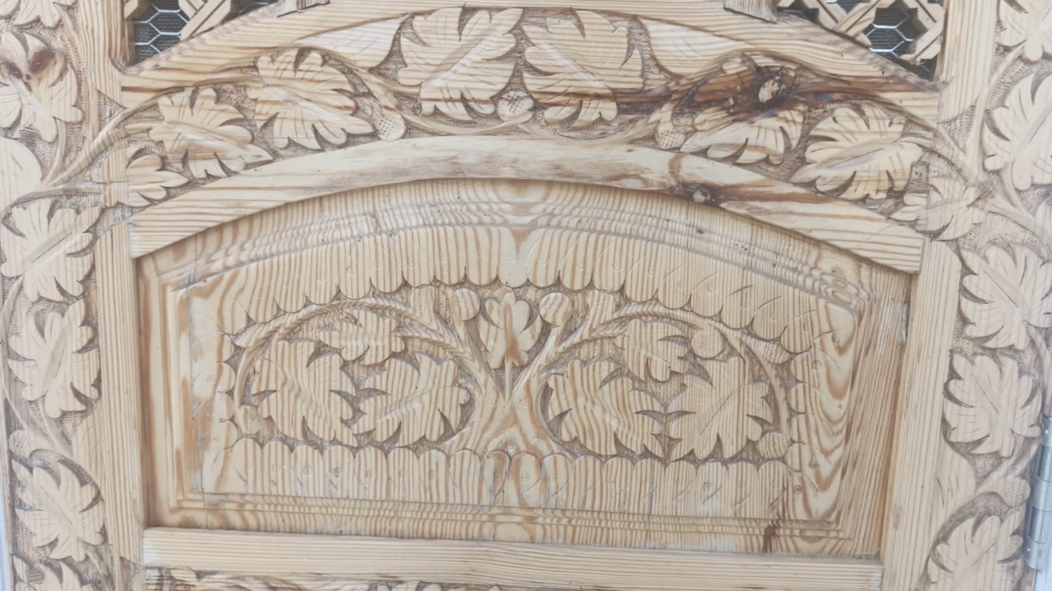 Documenting Chinar Trees Through Art