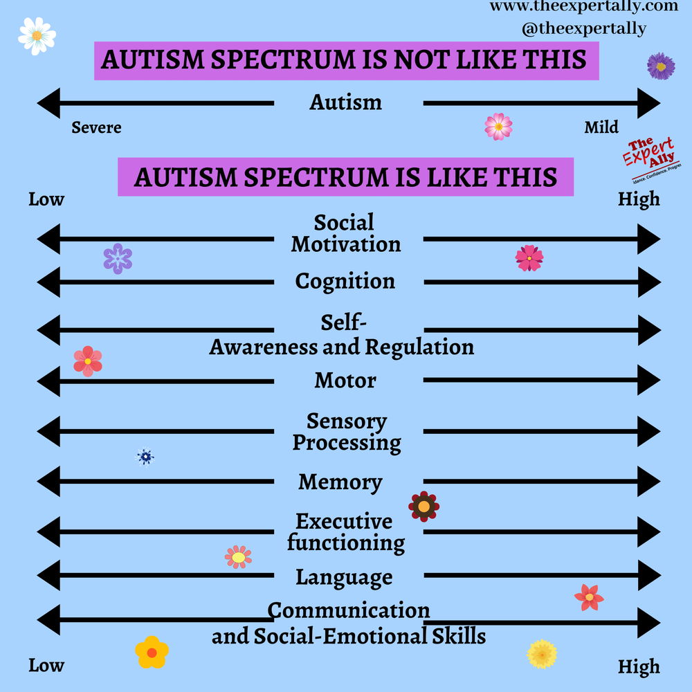Autistic Spectrum, Functioning, and Support Needs.