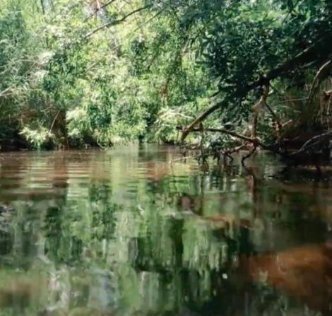 Viaggio Mistico in Sardegna Wild | Dirindi | Viaggianti dentro