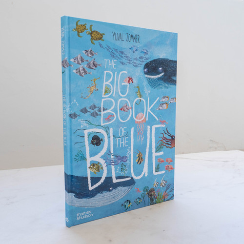 Big Book of the Blue - Yuval Zommer | thesundaysociety
