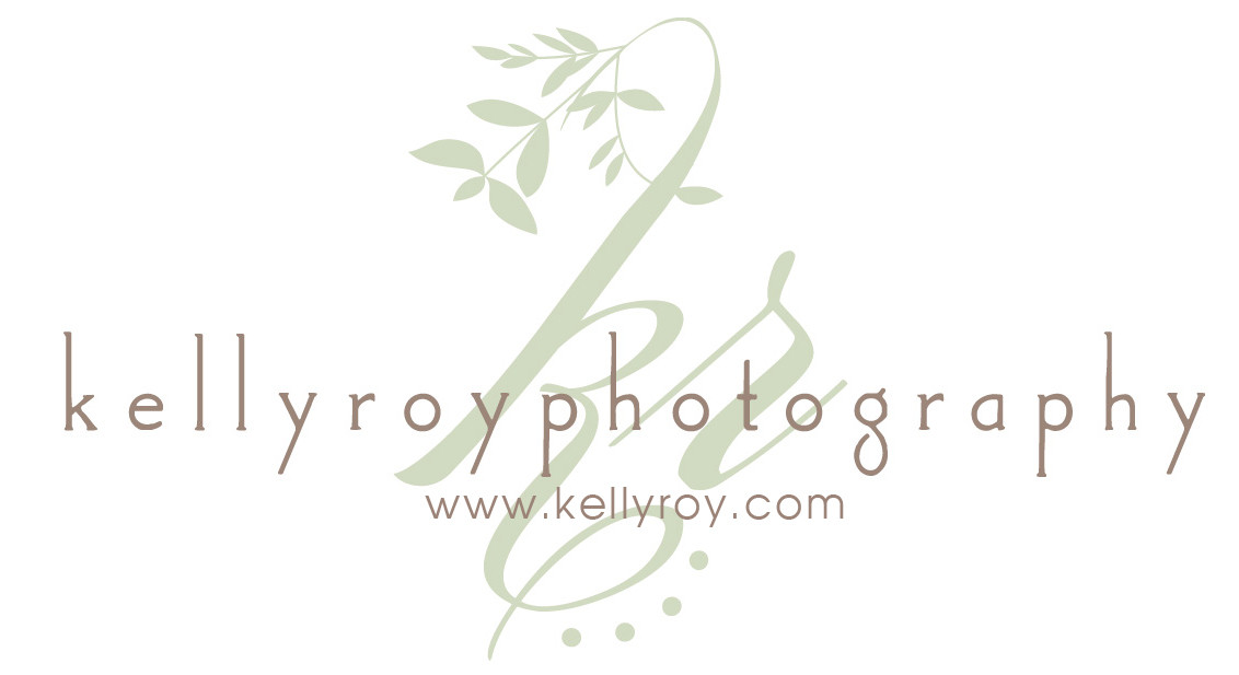 Kelly Roy Photography | southern maine photographer