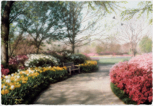 Spring Peace by artist Ken Johnston | Lovetts Fine Art Gallery