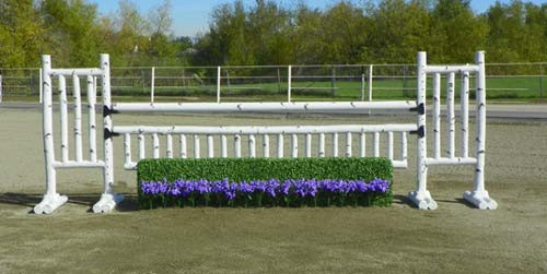 Complete 10' Hunter Course (8 jumps) | Jumps West
