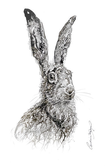 Peintre sculpteure animalier | Andrée Marcoux Artiste | Québec