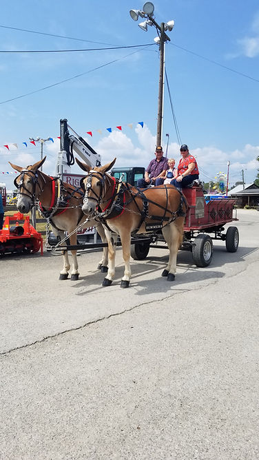 About | Warren Co A&L Fair