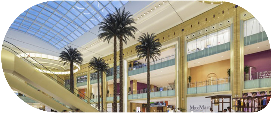 Mall of Qatar: Loyalty Coalition Strategy | Case Study
