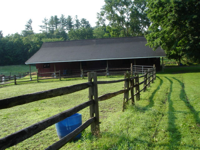 Home | new-meadows-farm
