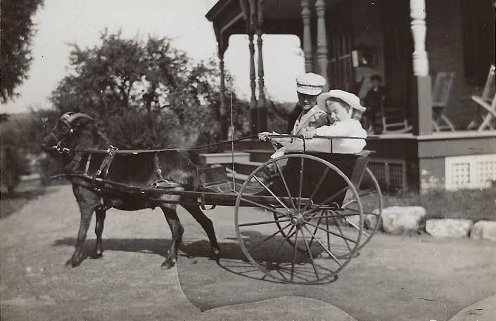 Local History | tenaflylibrary