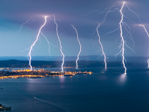 PORTFOLIO | Apiary Capital