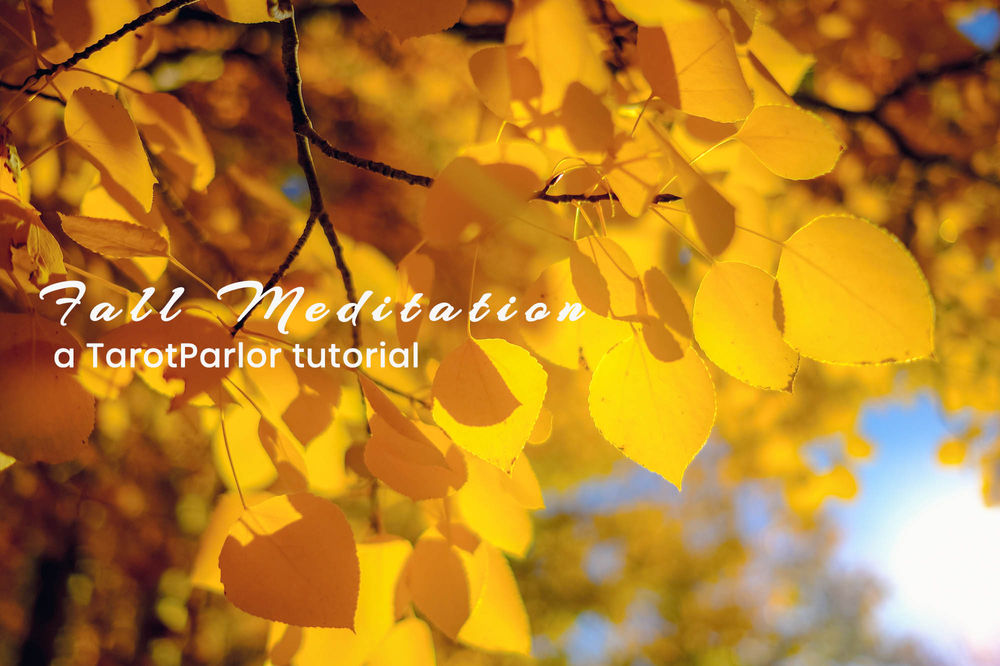 Fall Tarot Meditation Tutorial