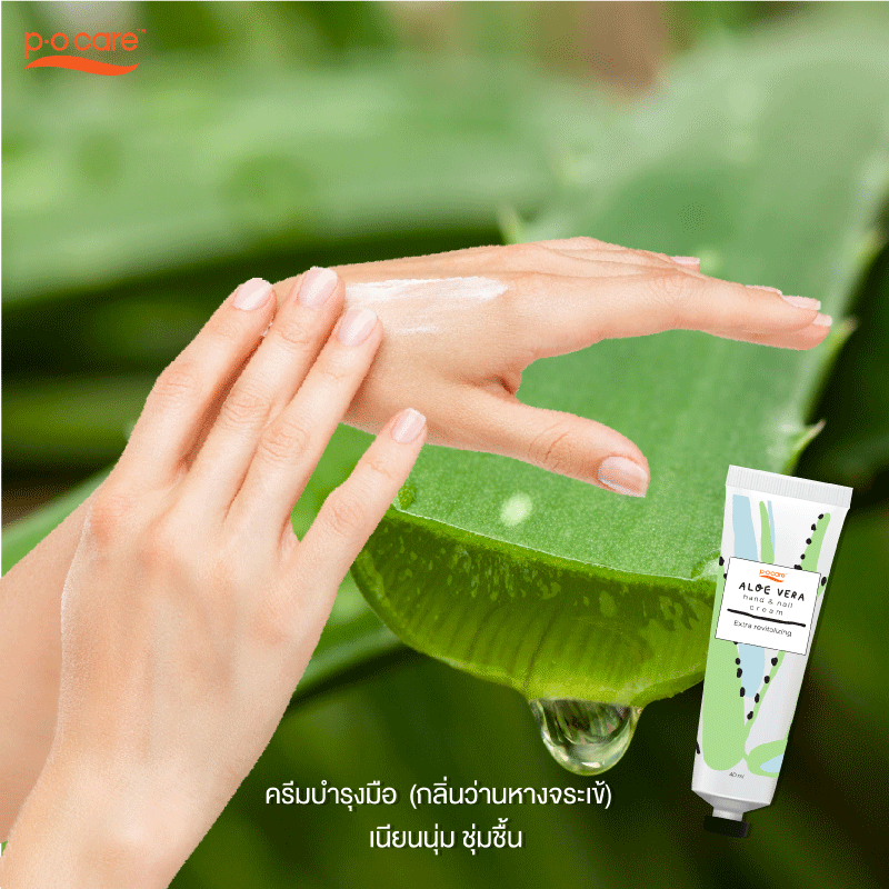 Aloe Vera Hand Cream ครีมทามือเติมความชุ่มชื้น นุ่มน่าสัมผัส