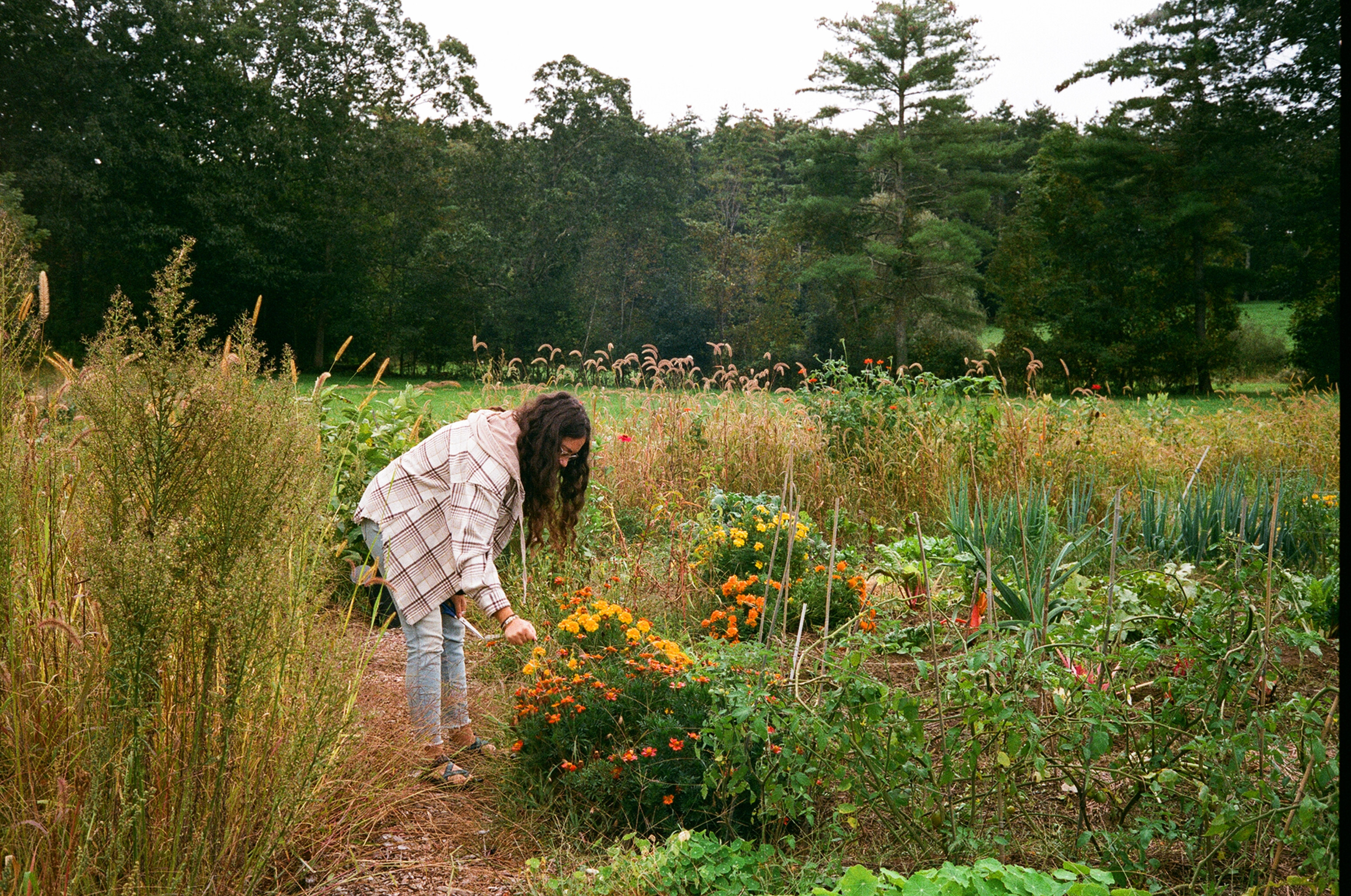 Jewish Farming Takes Root | JewishFarmerNetwork
