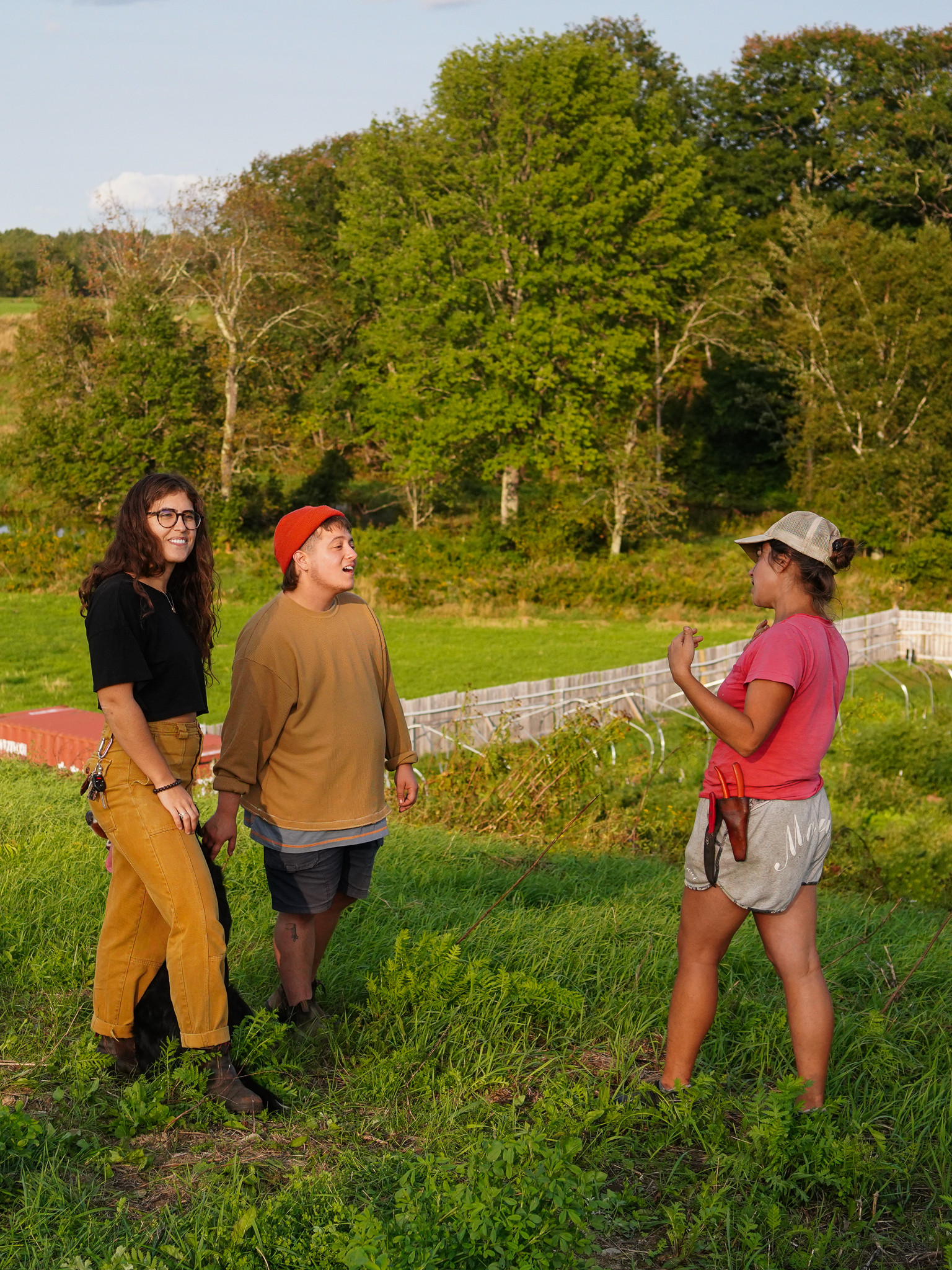 Jewish Farmer Network cultivates ancient agricultural wisdom ...