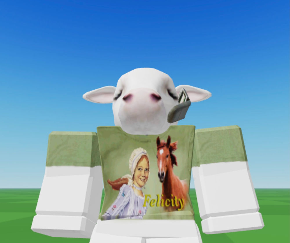 I made a Felicity shirt on Roblox!! | agnews