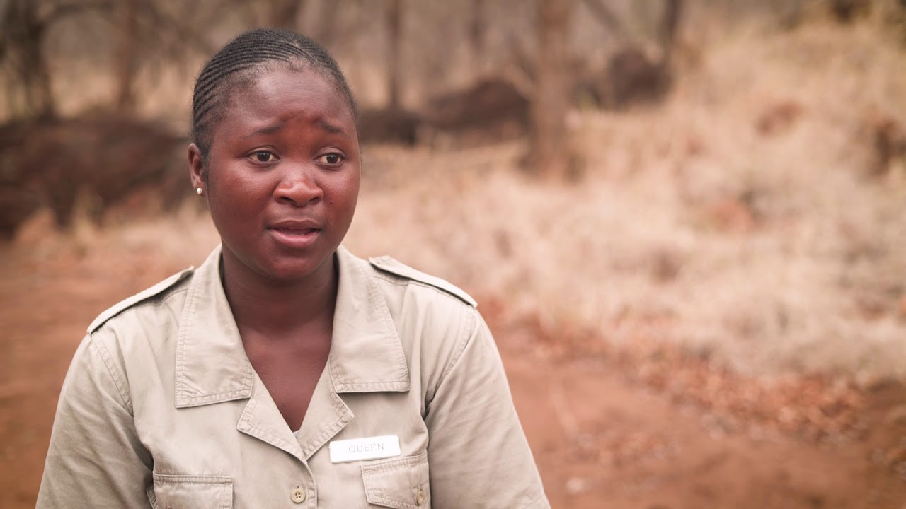 View Top Job Placements | Bushwise Field Guides