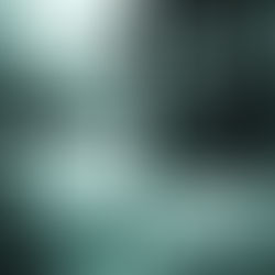 Insights | Black Opal Ventures