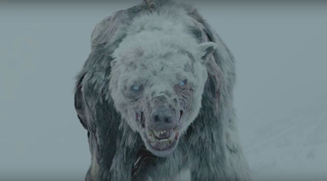 Fantastic Bears and Where to Find Them: Ways of Seeing Polar Bears in ...