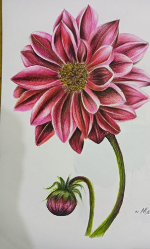 Pink flower color sketch | Indradhanu.store