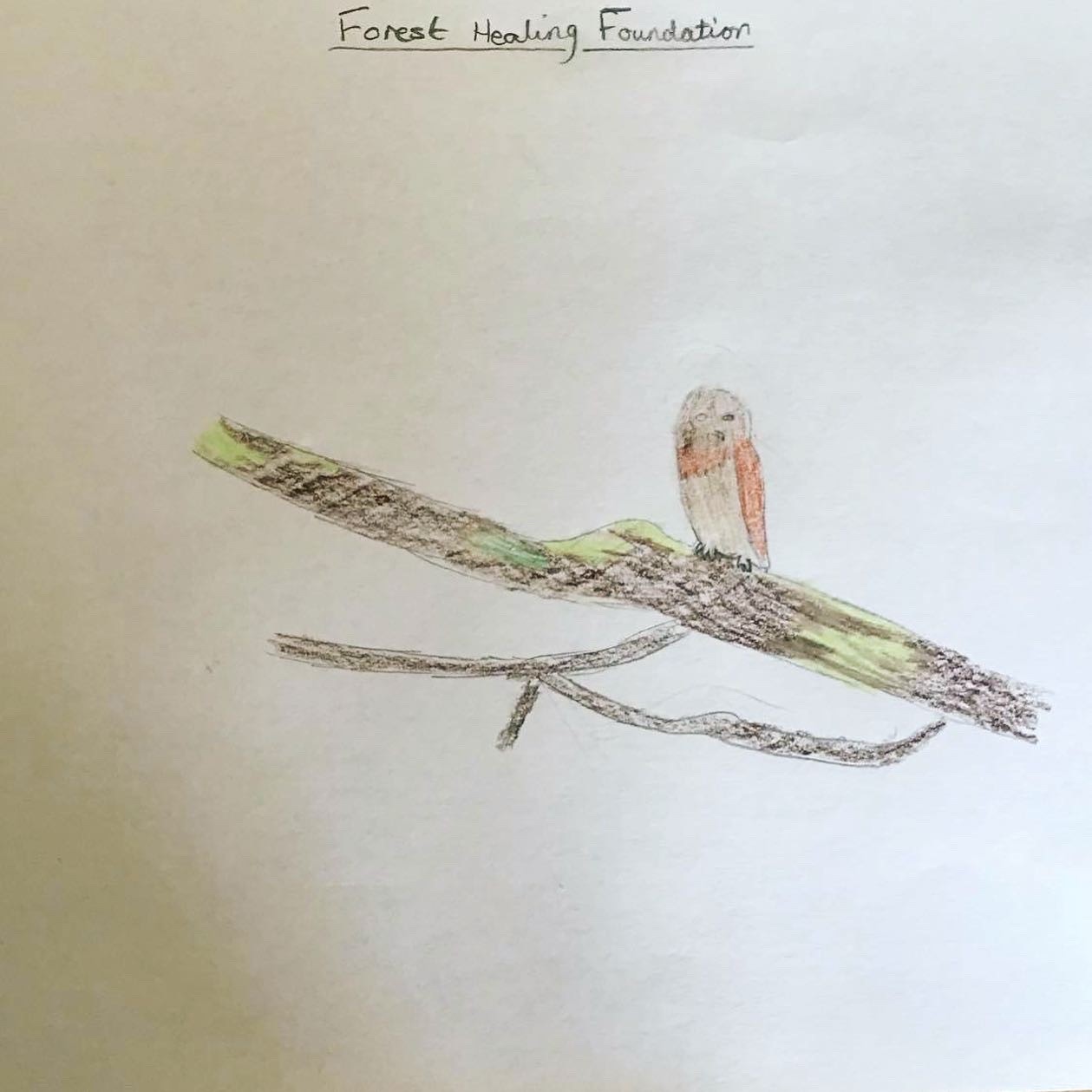 Conservation for Kids