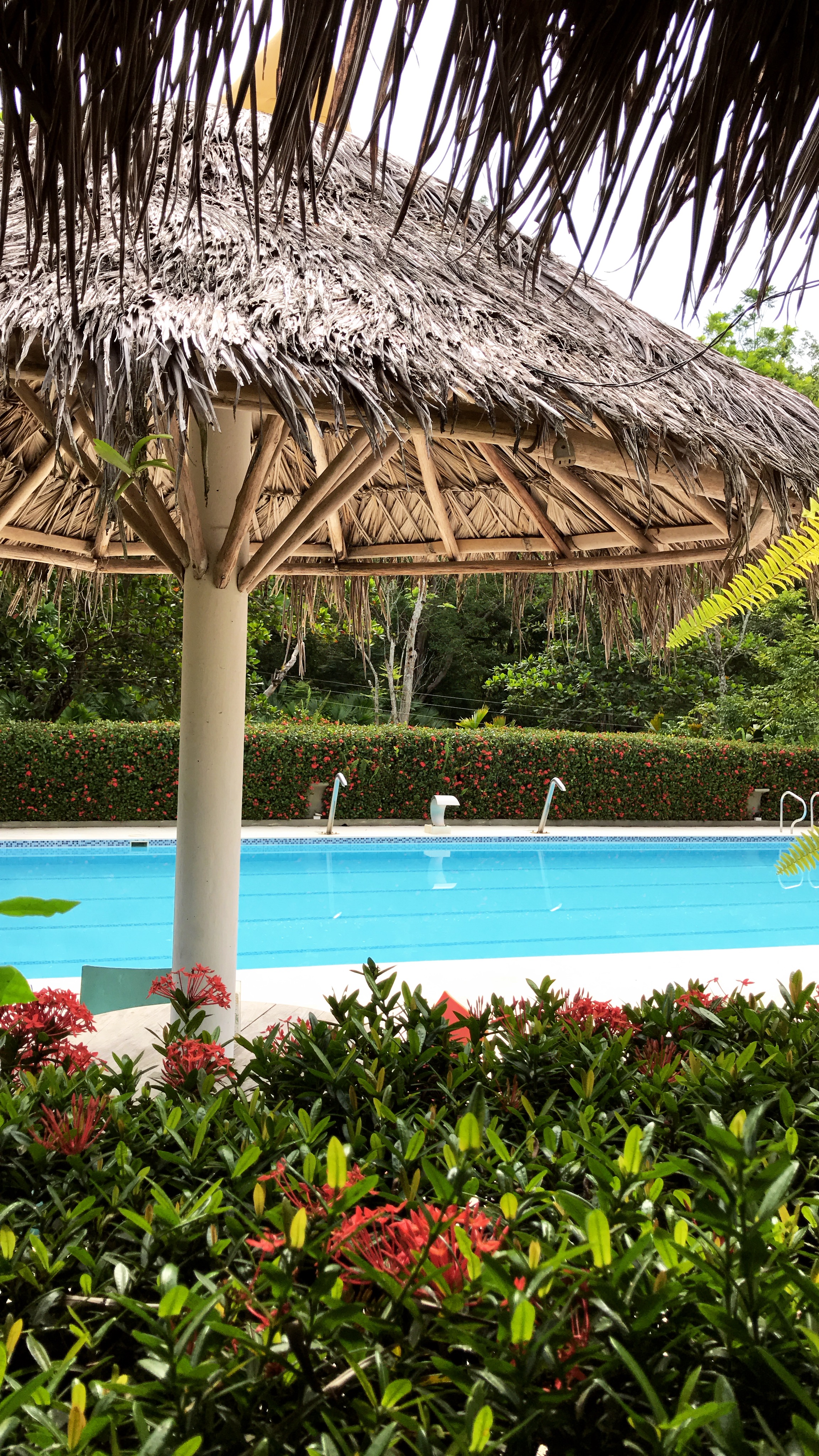 Hotel | Doradal | Rio Claro | Los Colores Ecoparque colombia