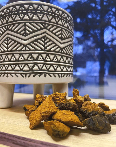 Chaga Chunks 2oz | Forest Mama