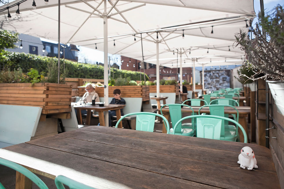 The White Rabbit | Pizza | Craft Beer | Oxford, UK