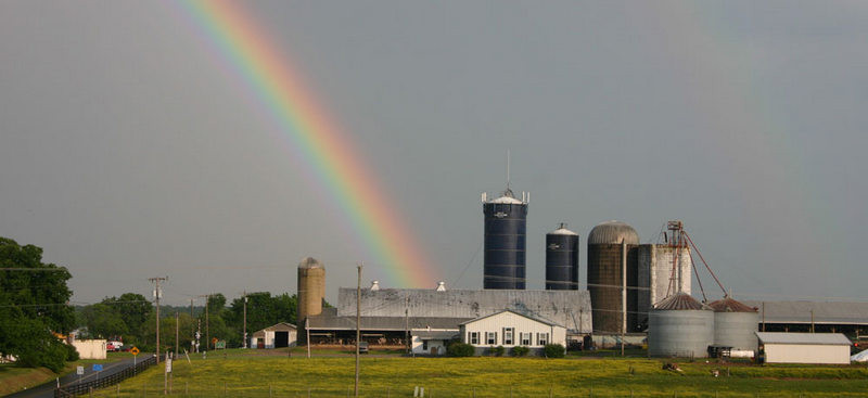 Home | al-mara-farmFarm | Al-Mara Farm Inc Midland VA | United States