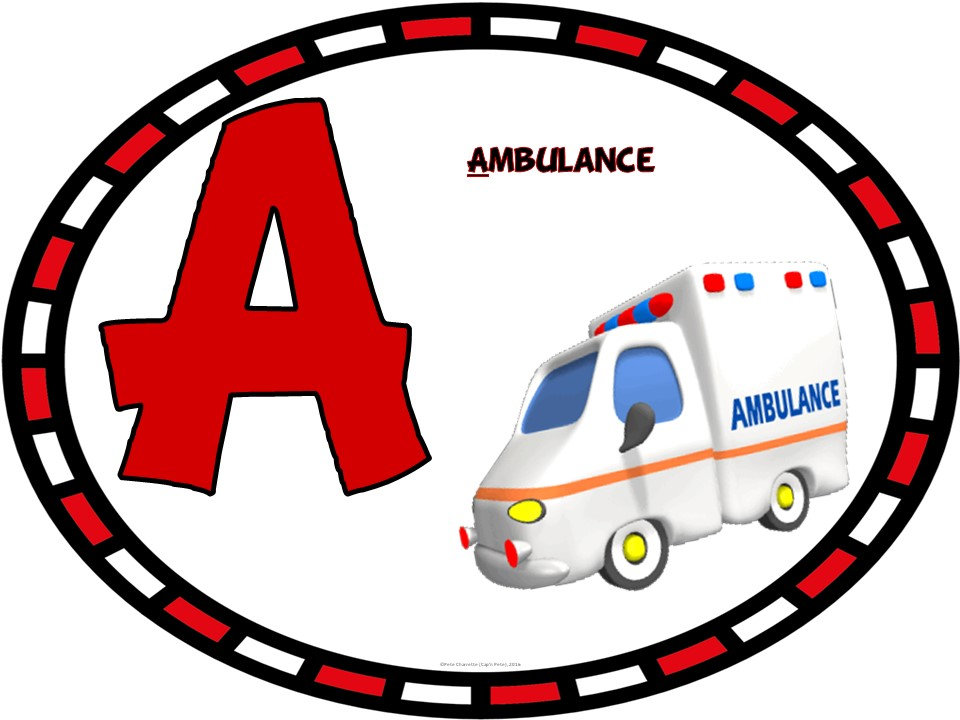 Health Alphabet Word Wall- Complete Display and Editable Word Building ...