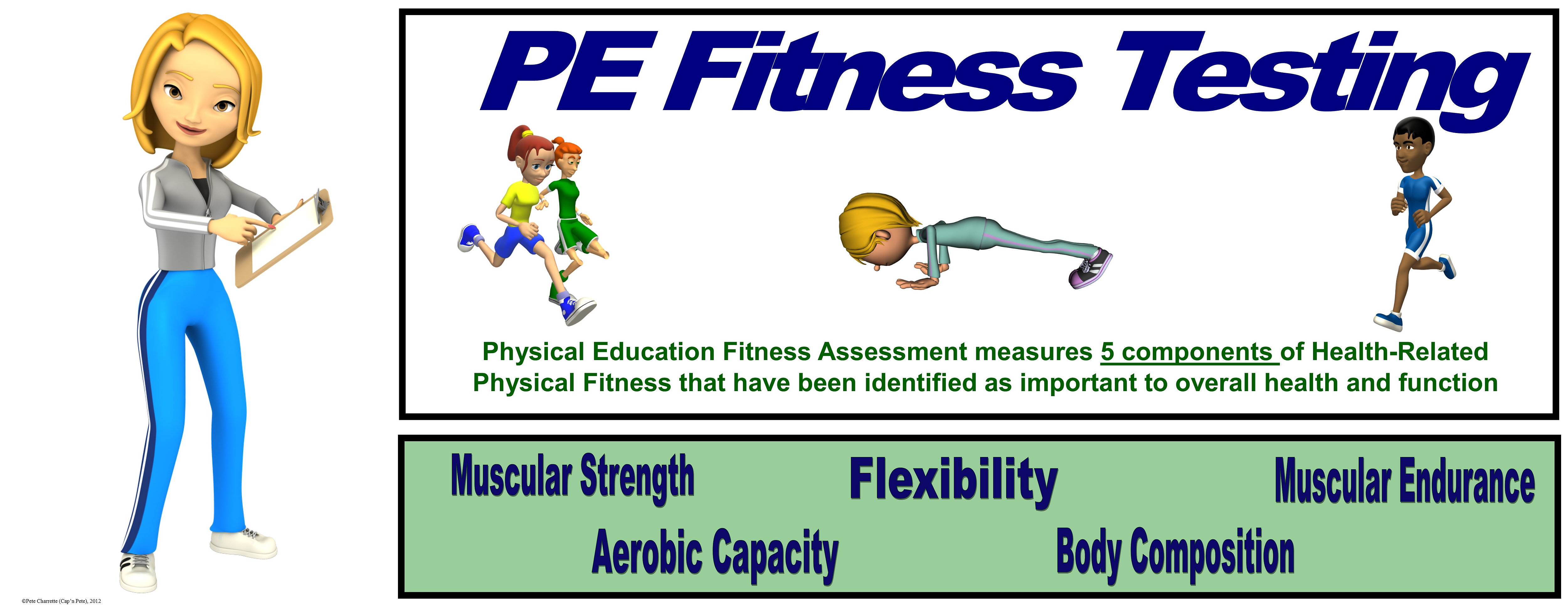 PE Fitness Testing: 7 Large Vertical Banners | capnpetespowerpe