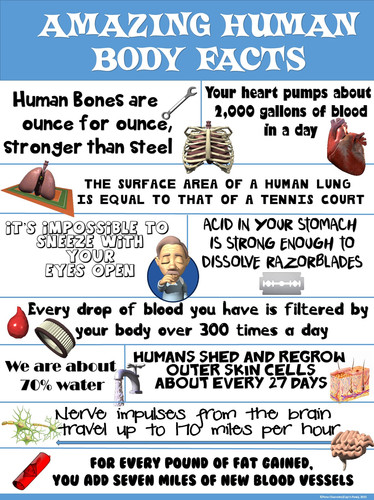 Health and Science Poster: Amazing Human Body Facts | capnpetespowerpe