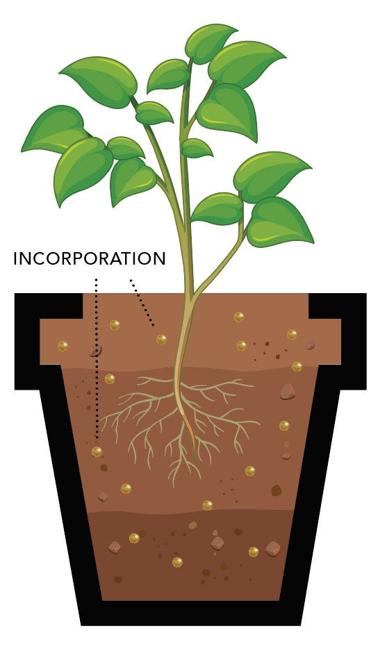 Controlled Release Fertilizer Application Methods in Plant Nurseries ...