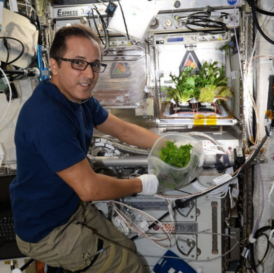 An Update From The ISS and VEGGIE