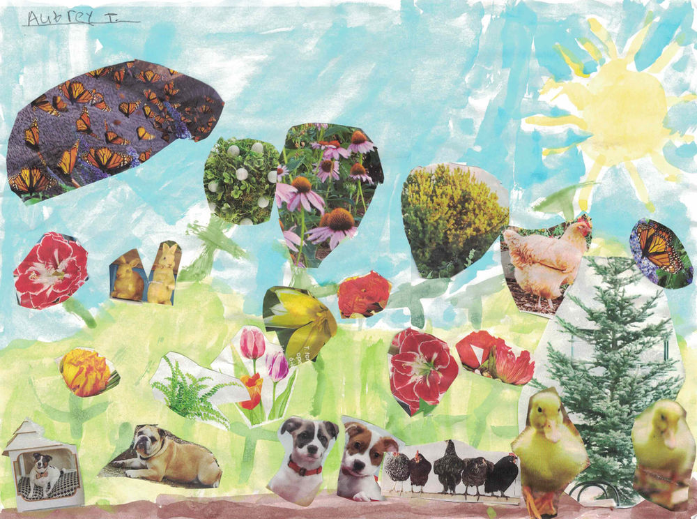 Caring for God's Creation