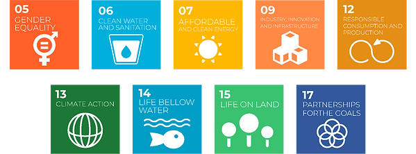 Ailesh | Sustainability Services for Environmental Improvement