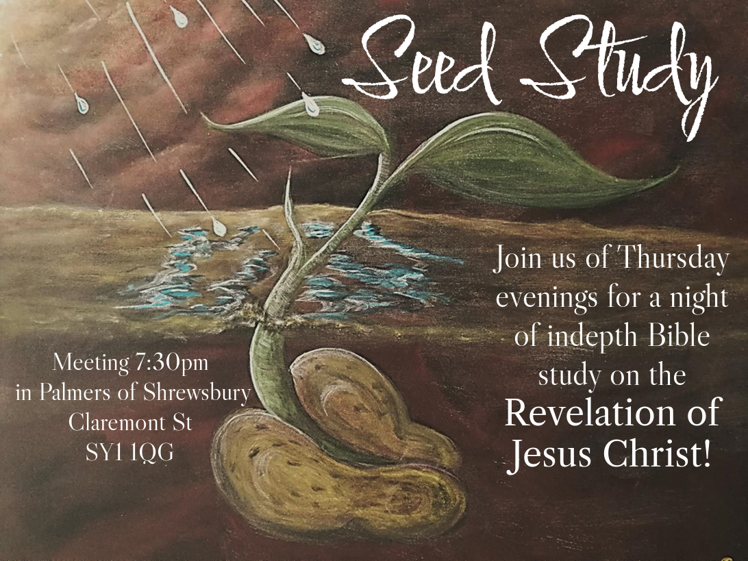 The Book of the Revelation of Jesus Christ - The Seed Study | New ...