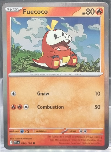 Fuecoco - Holo - 036/198 | ManChildCollectables