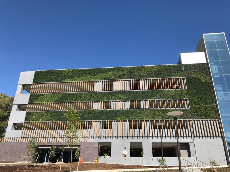 INCYTE PHARMACEUTICALS